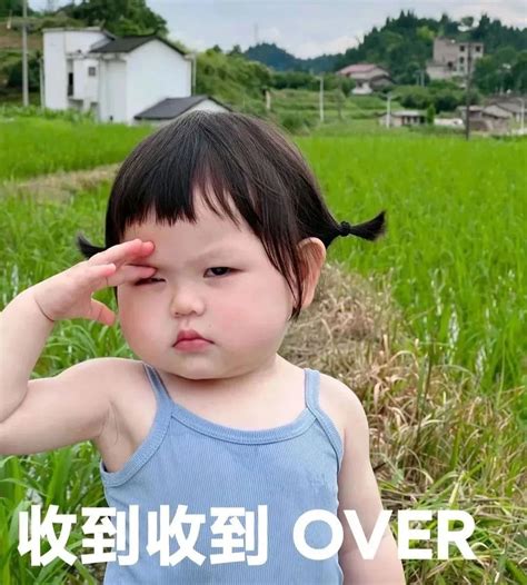 表情包又更新了，礼貌拿图 收到收到表情包宝宝我爱你新浪新闻