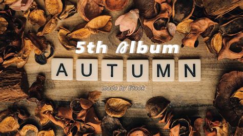 가을에 듣기 좋은 잔잔한 노래 Youtube