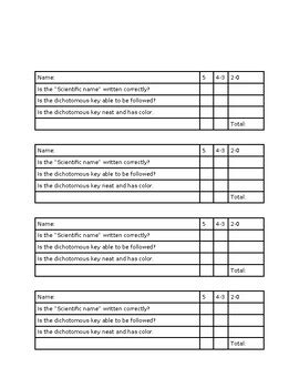 Create Your Own Dichotomous Key By Dillon Ladner TPT