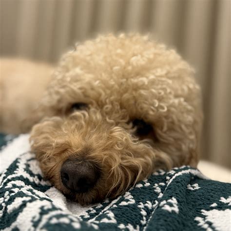 V0 Plans For Teams Are Here Vercel