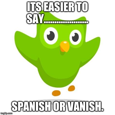 Things Duolingo Teaches You Imgflip