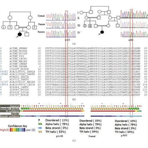 A Electropherogram Of The Patients Having Novel Variants Shows Download Scientific Diagram