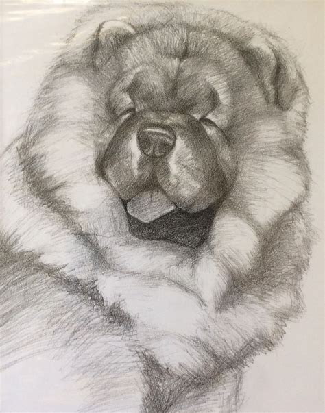 Chow Chow Sketch At PaintingValley Com Explore Collection Of Chow Chow Sketch
