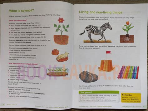 Key Stage 1 Science Revision Guide купить в интернет магазине