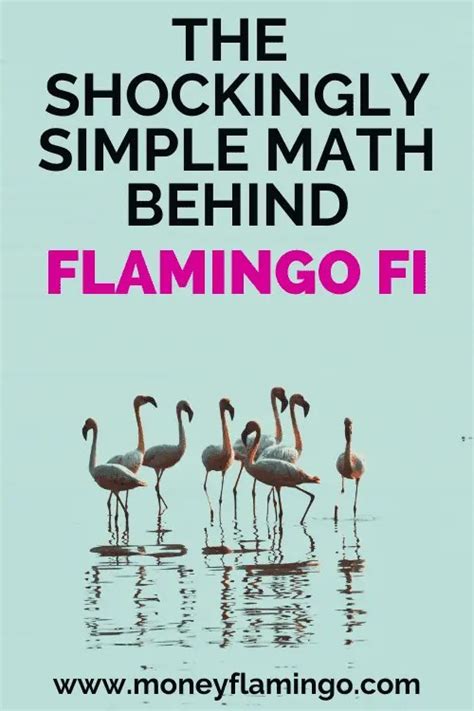 The Shockingly Simple Math Behind Flamingo Fi Money Flamingo Fire And Lifestyle Blog