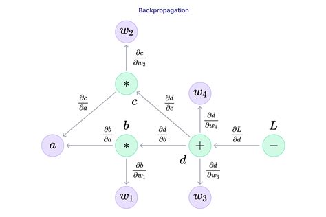 Neural Network Exponent