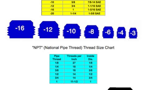 An And Npt Thread Sizes Chart Rorty