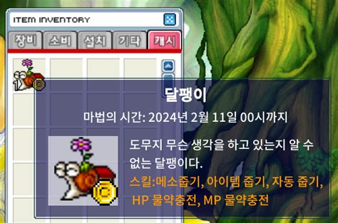 메이플랜드 달팽이 펫 받는 법 및 자동 물약 설정 방법 패치 내용 네이버 블로그