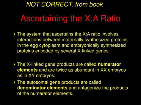 Ppt Drosophila Development Powerpoint Presentation Free Download