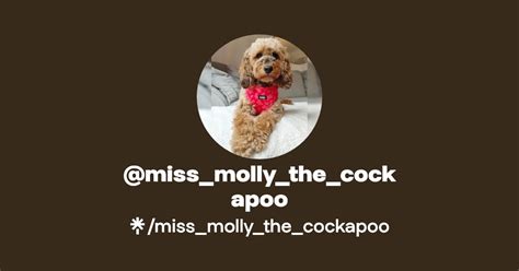 Missmollythecockapoo Instagram Linktree