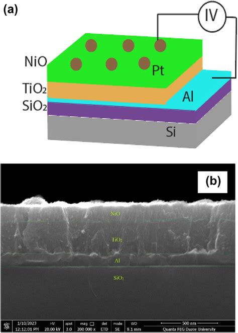 A Schematic Structure Of The Fabricated P Nio N Tio2 Heterojunction Download Scientific Diagram