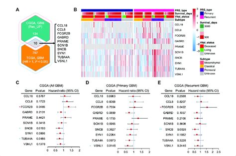 Identification Of Differentially Expressed Genes From Recurrent GBM