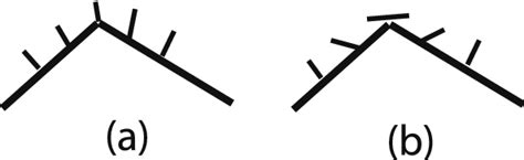 vertex classification according to director profile a splay and b bend