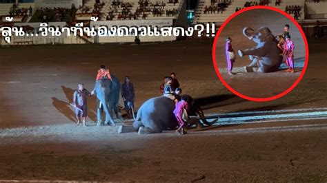 บทบาทเจ้าพระยาปราบหงสา🔥ทำเอาแม่fcหลงความน่ารัก Youtube