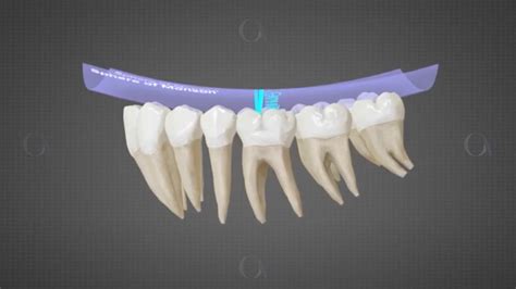 ᐈ Oclusión Dental Claves Tipos Y Explicación