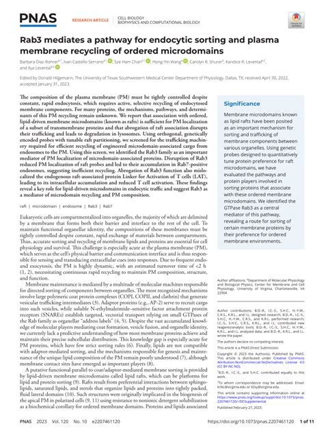 Pdf Rab3 Mediates A Pathway For Endocytic Sorting And Plasma Membrane