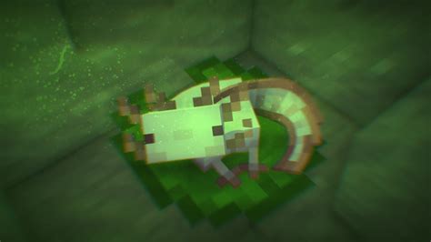Minecraft Axolotl Wallpapers Top Free Minecraft Axolotl Backgrounds