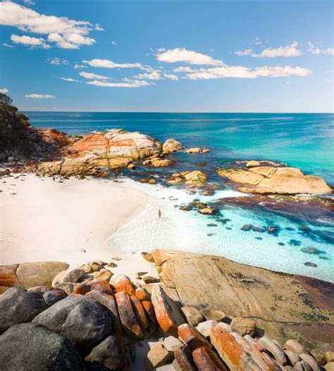 Bay Of Fires Tasmania Everything You Need To Know We Seek Travel Blog