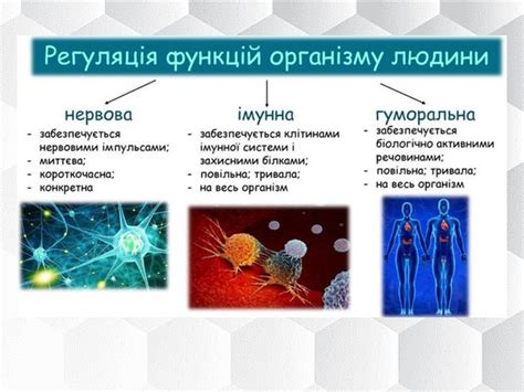 Презентація Ендокринна система 8 клас