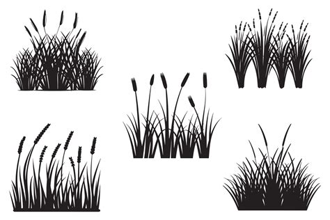 Set Of Silhouettes Grass Outline Vector Illustration On White Background 41415241 Vector Art At