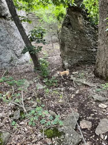 2023 Best River Trails In Elk City Alltrails