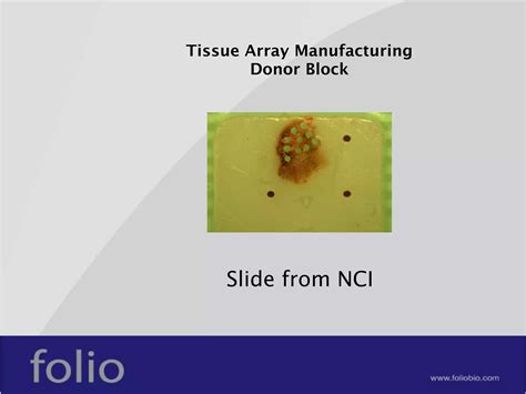 Tissue Microarray Presentation Key