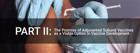 The Promise Of Adjuvanted Subunit Vaccines As A Viable Option In Vaccine Development Part Ii