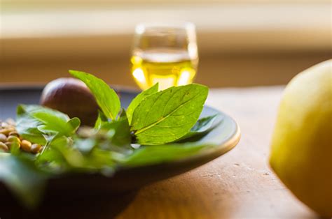 이탈리아 파스타 소스레몬 바 질 어린 준비에 대 한 신선한 재료 삼나무 견과류 큰 마늘 정 향 그리스 올리브 기름 파 르 메 산