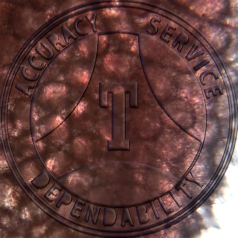 Scypha Wm Prepared Microscope Slide