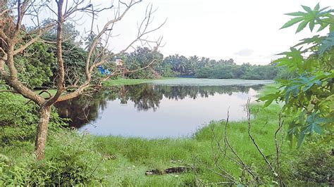 ఆగమేఘాలపై One Acre Site Lease For Ycp Party Office