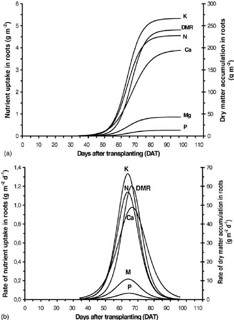 A Dry Matter Accumulation And Nutrient Uptake Curves In Roots Of Fl Download Scientific