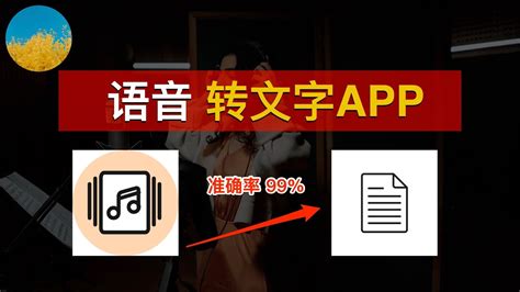 【超实用】语音转文字、我的 2 个常用软件 🎉 使用 Openai Whisper Api 一键上字幕、准确率高达 99 ！语音识别字幕从未如此简单：buzz、剪映｜数字牧民lc Youtube