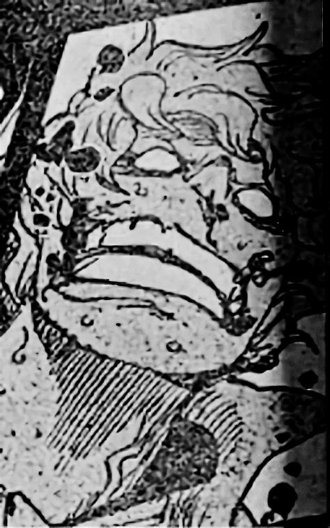 Gorosei Agenda Is Back R Piratefolk