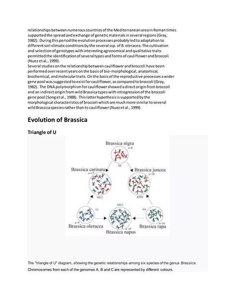 Origin Evolution Current Area And Production Of Brassica Docx