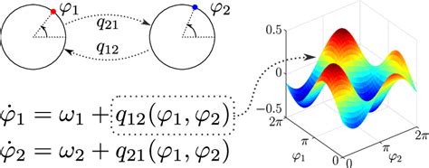 Figure 1 From Extended Dynamical Causal Modelling For Phase Coupling