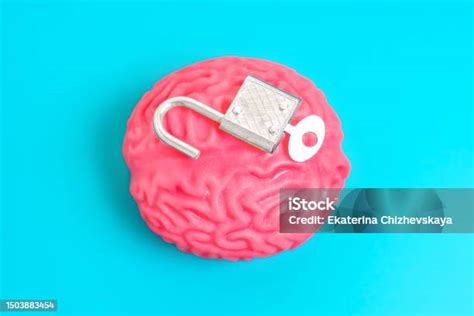 잠금 해제된 잠재력 자물쇠가 열린 인간 두뇌 모델 0명에 대한 스톡 사진 및 기타 이미지 0명 Mental Wellbeing 갇힌 Istock