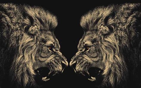 Конфликтът е възможност