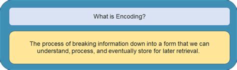 Encoding Definition Psychology Glossary