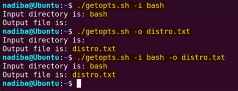 How To Use Flags In Bash If Condition With Example LinuxSimply