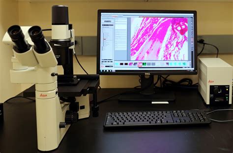 Inverted Fluorescence Microscope West Campus Imaging Core