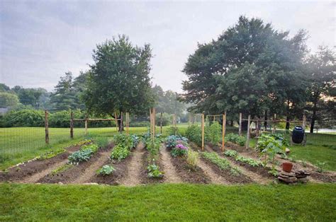 How To Start A Vegetable Garden Twigandthistle