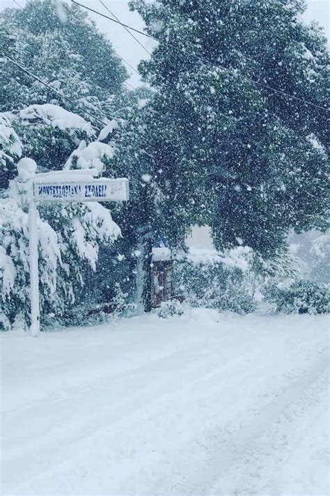 ΚΑΜΙΑ ΖΗΜΙΑ ΣΤΟ ΣΧΟΛΕΙΟ ΜΑΣ ΜΟΝΤΕΣΣΟΡΙΑΝΑ ΣΧΟΛΕΙΑ