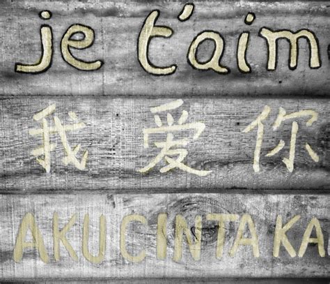 Creating An Offline Translation Android App Using Firebase Ml Kit Fritz Ai