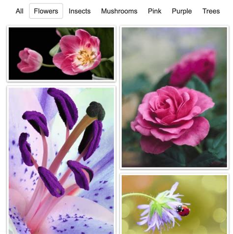 How To Create A Masonry Gallery In Wordpress Fooplugins