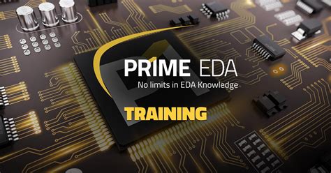 Training Prime Eda