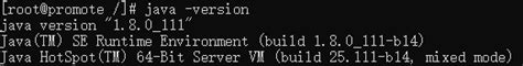linux平台部署maven项目，报异常exception in thread main java lang unsupportedclassversionerror和web server