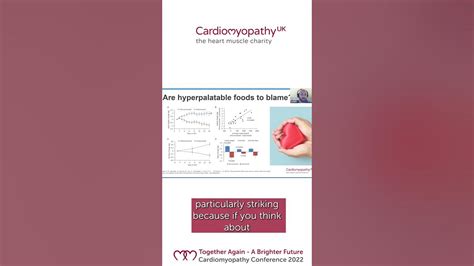 Hyperpalatable Foods Youtube