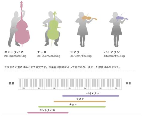【チェロとコントラバス】見分け方、音域の違いは？デュオ（二重奏）の曲もご紹介！ Arco音楽教室 東京都練馬区 埼玉県新座市で個人レッスンを提供しています