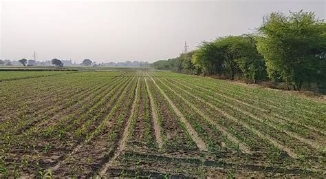 Saurabh Srivastava On Linkedin Agribot Agriculture Drones Agritech