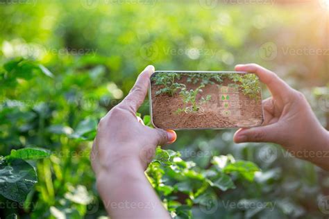 Smart Farming With Iot Internet Of Things Growing Potato Seedling With